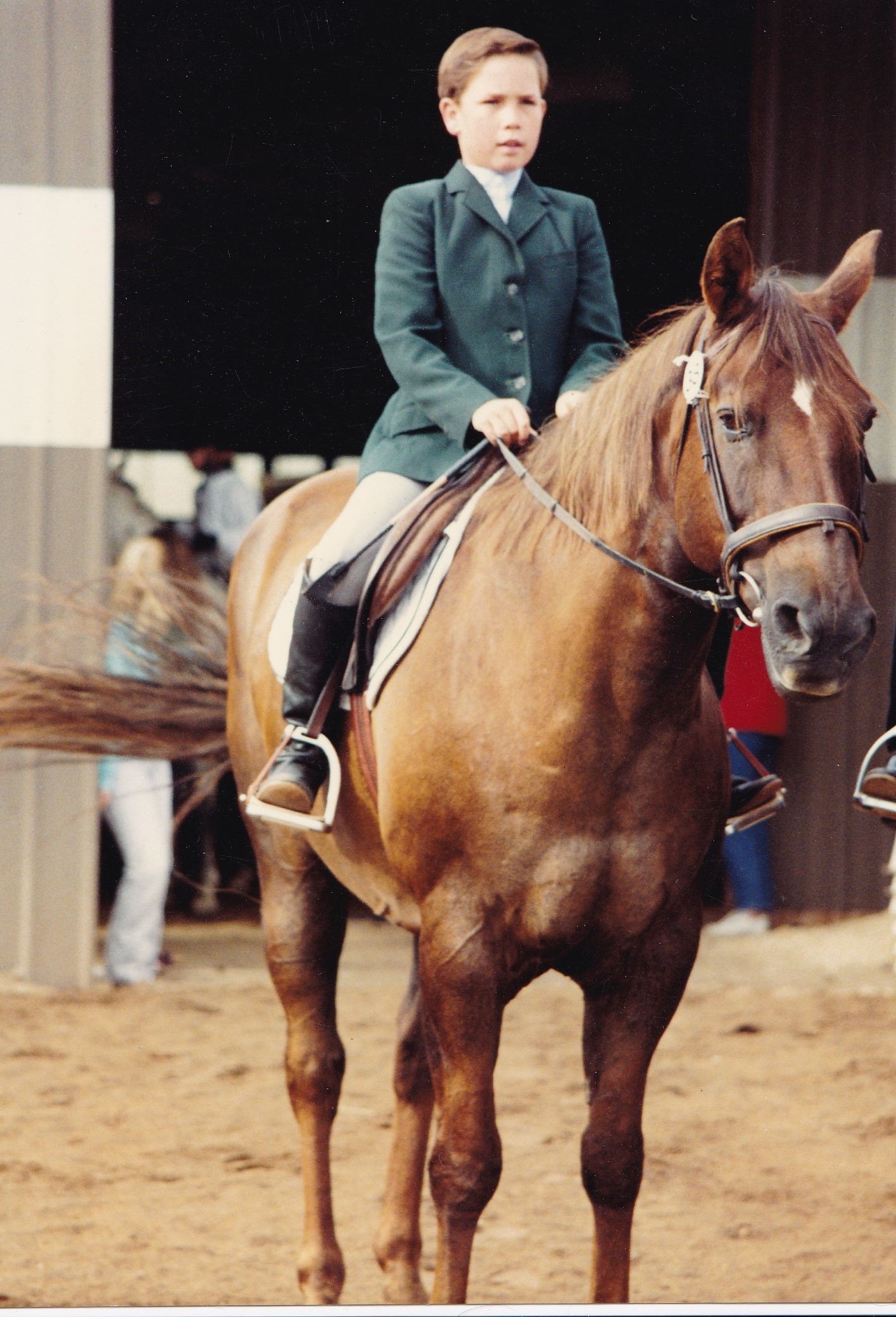 Stallion Owner Spotlight: Ryan Pedigo Sport Horses, Inc. - Warmblood ...