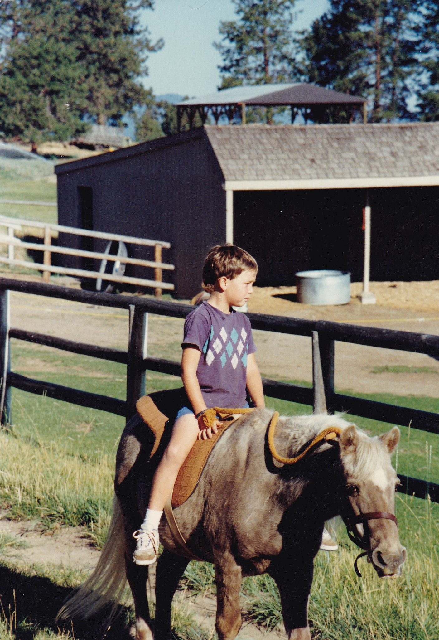 Stallion Owner Spotlight: Ryan Pedigo Sport Horses, Inc. - Warmblood ...